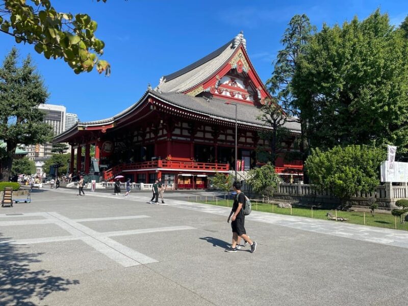 Tokyo City: Customize Day Tour With English Driver - Itinerary Highlights