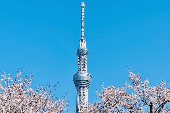 Tokyo City Customized Private Day Tour - A Closer Look at the Itinerary