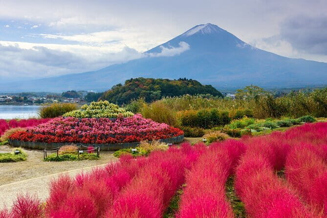 Tokyo City Customized Private Day Tour - Who Should Consider This Tour?