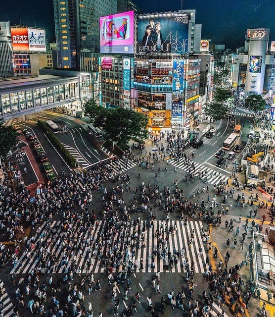 Tokyo City Day Tour With Englisg Speaking Driver. - Tour Highlights