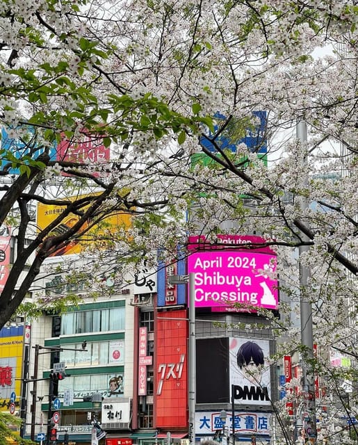 Tokyo City Day Tour With Englisg Speaking Driver. - Participant Guidelines