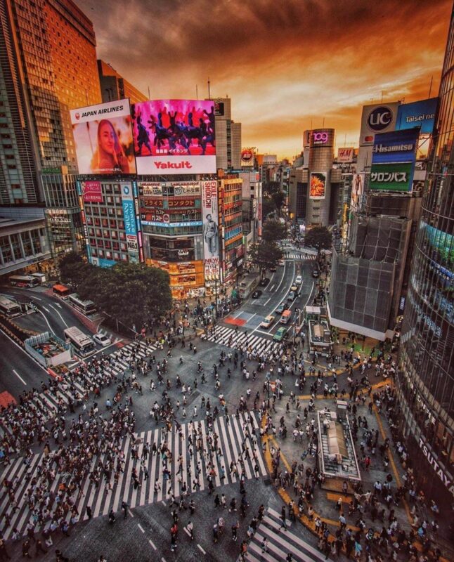 Tokyo City Day Tour With Englisg Speaking Driver. - Important Information