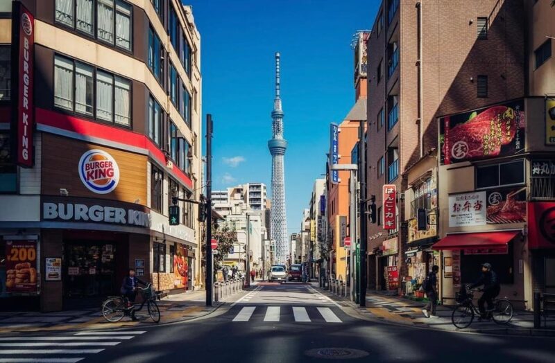 Tokyo City Day Tour With Englisg Speaking Driver. - Customizable Itinerary