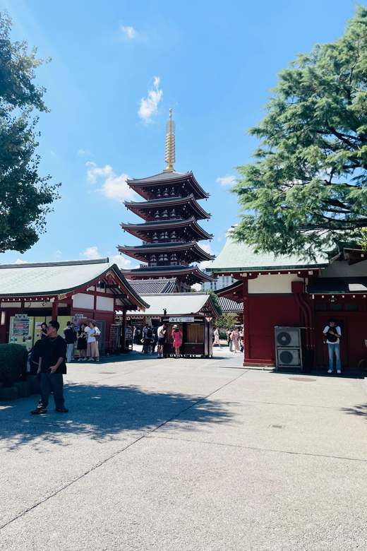 Tokyo City Highlights Tour With English Speaking Driver - Itinerary Highlights