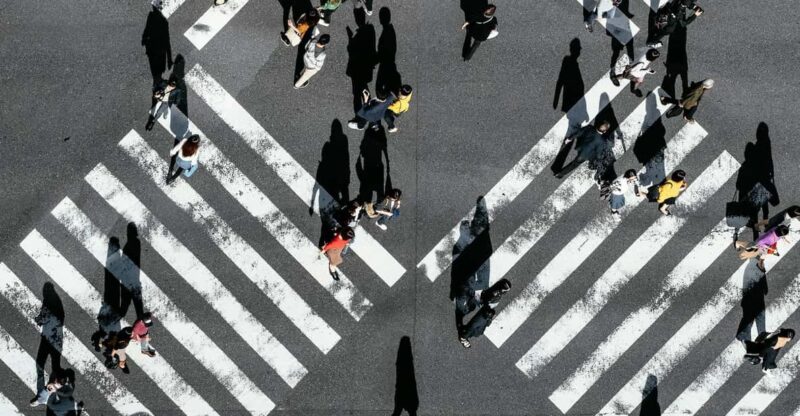 Tokyo: City Private Customized Trip With English Driver - Tour Experience