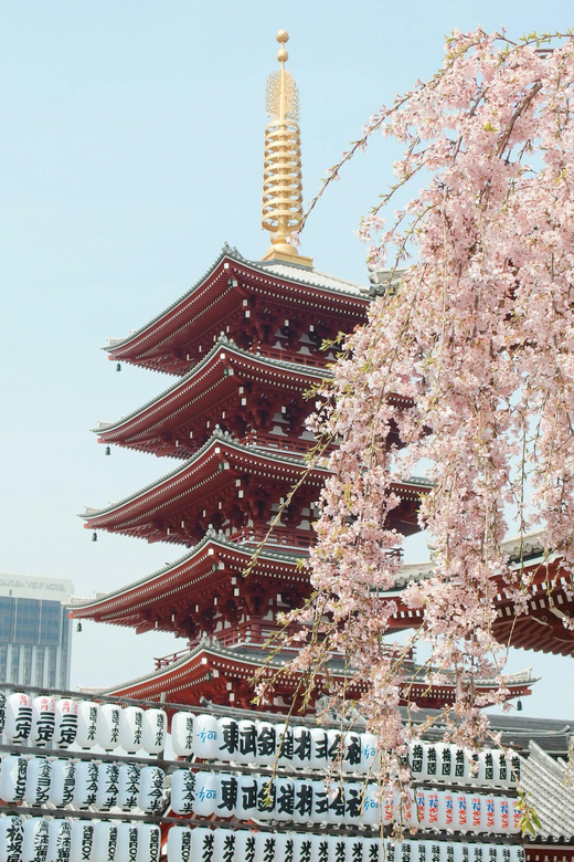 Tokyo: City Private Customized Trip With English Driver - Inclusions