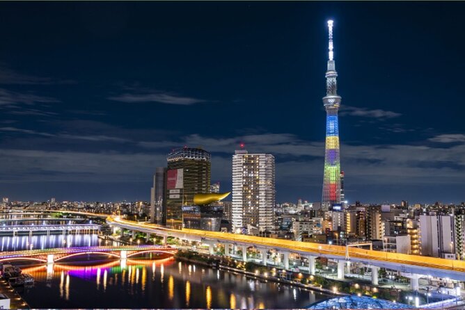 Tokyo City Tour by Private Car & English Guide - Highlights of the Tour