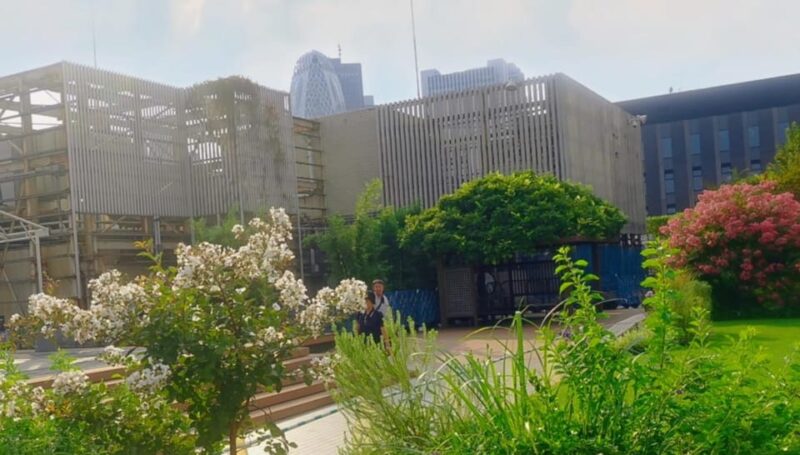 Tokyo City Tour in Shinjuku With Licensed Guide - Visiting the Tokyo Metropolitan Government Building