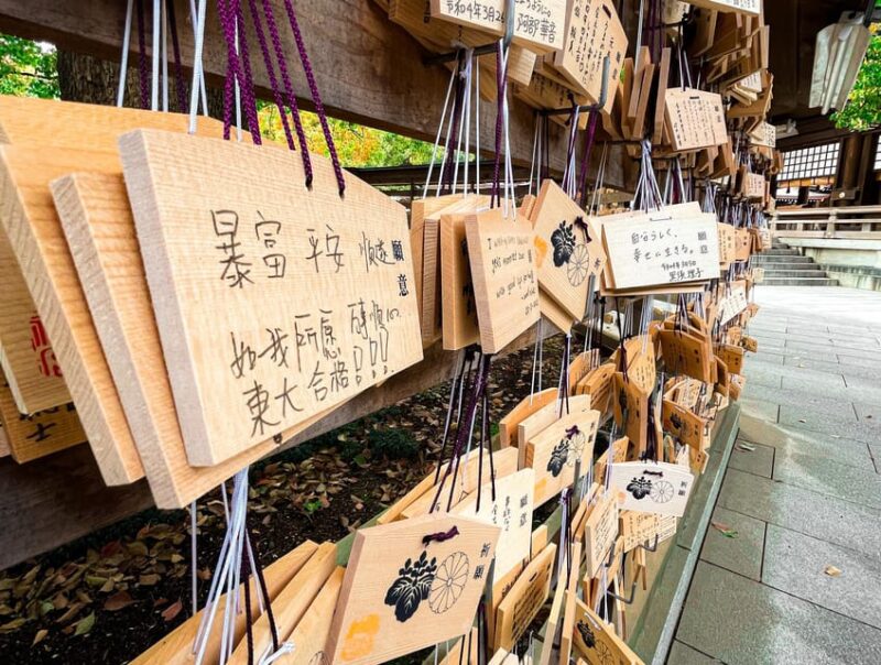 Tokyo: City Tour - Tour Experience