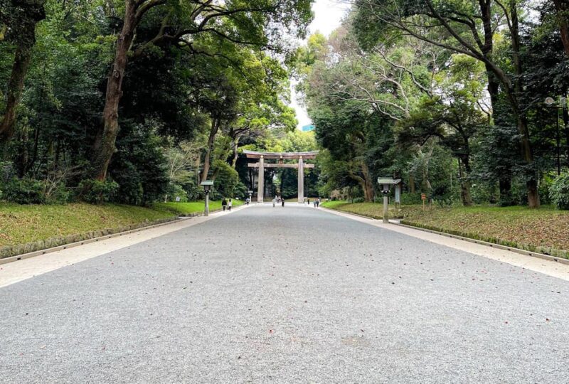 Tokyo: City Tour - Important Information