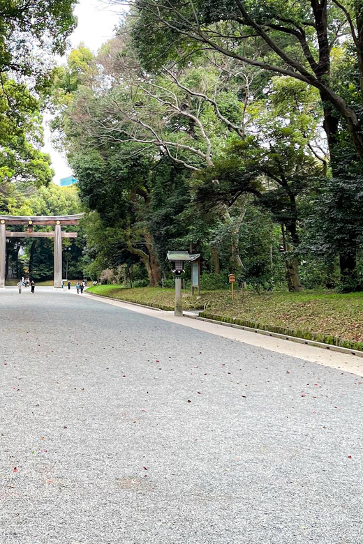 Tokyo: City Tour - Takeshita Street