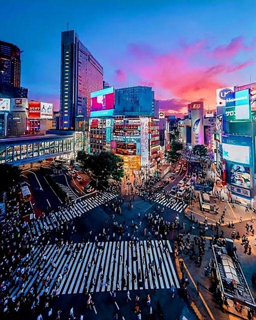 Tokyo: City Tour Tokyo With Driver - Tsukiji Fish Market