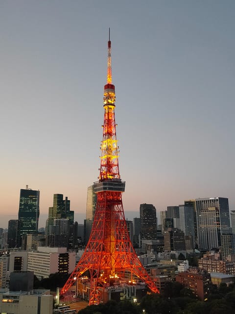 Tokyo: City Tour Tokyo With Driver - Shibuya Crossing
