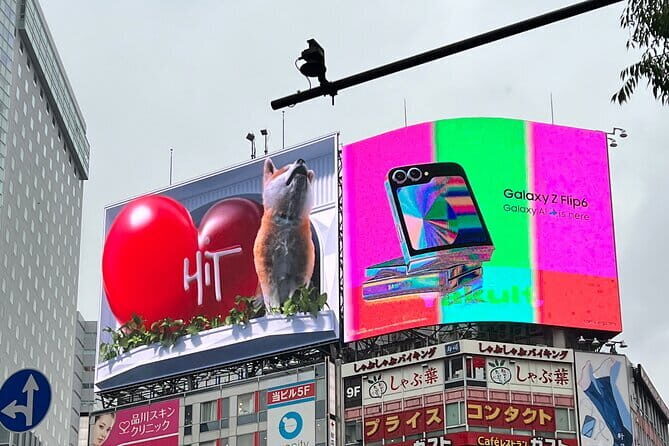 Tokyo City Walk Private Sightseeing Day Tour - The Experience in Context