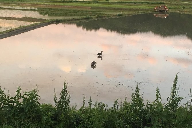 Tokyo Countryside Exploration Private Tour - Exploring the Countryside