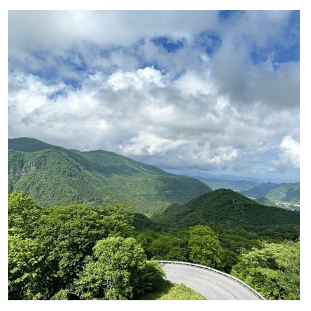 Tokyo: Customised Unmissable Nikko Unesco Private Day Tour - Important Considerations