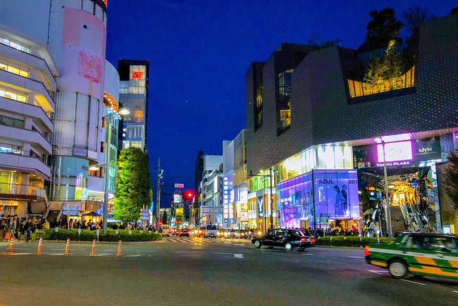 Tokyo Customizable Highlight Tour With A Licensed Private Guide - The Advantages of a Private Guide