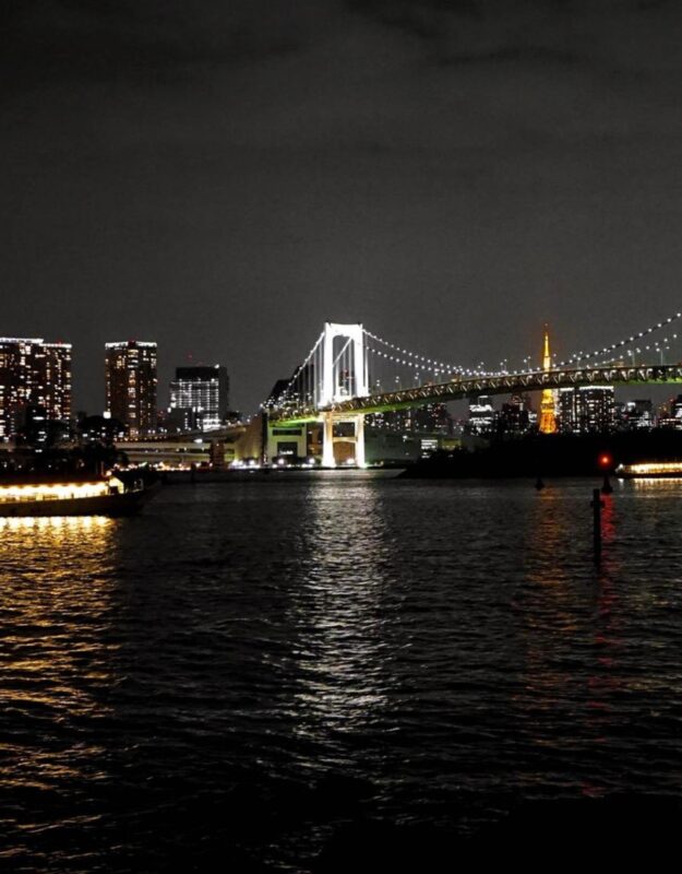 Tokyo Customizable Private Tour by Car & Van - Inclusions