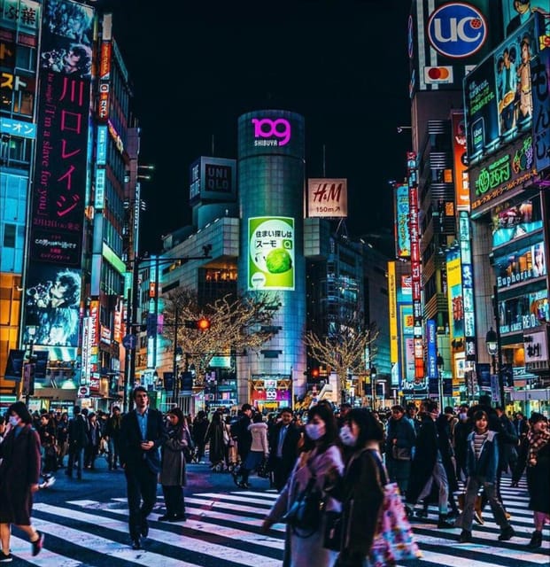 Tokyo Customizable Private Tour by Car & Van - Cultural Immersion