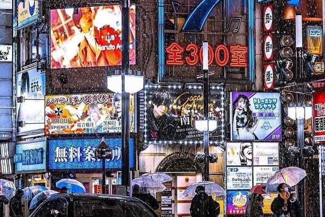 Tokyo Customizable Private Tour With English Speaking Driver - Accessibility