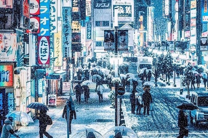 Tokyo Customizable Private Tour With English Speaking Driver - Benefits of Choosing a Private Tour