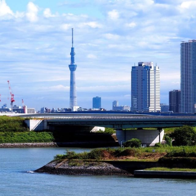 Tokyo Customize Private City Tour By English Speaking Driver - Transportation and Amenities