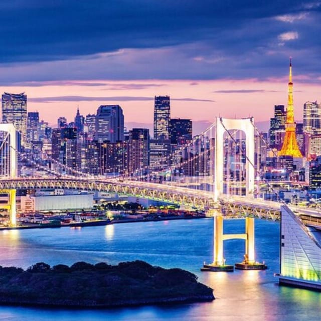 Tokyo Customize Private City Tour By English Speaking Driver - Important Information and Recommendations