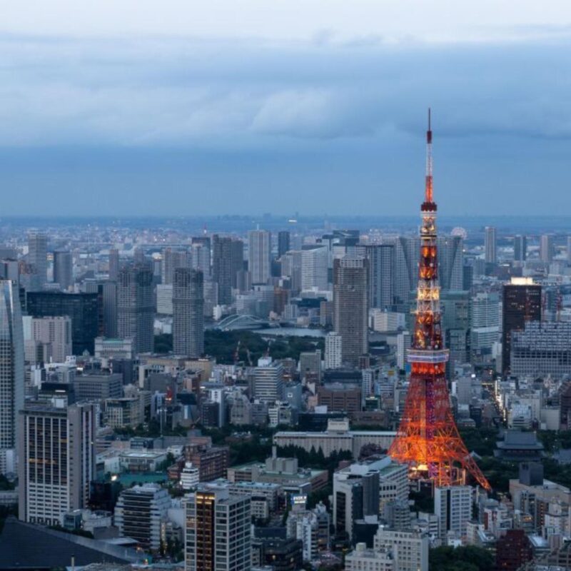 Tokyo Customize Private City Tour By English Speaking Driver - Discover Hidden Gems With a Customized Itinerary