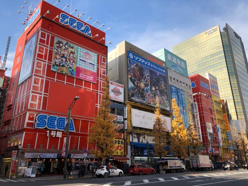 Tokyo: Customized Private Tour With a Local Guide - Experience Highlights