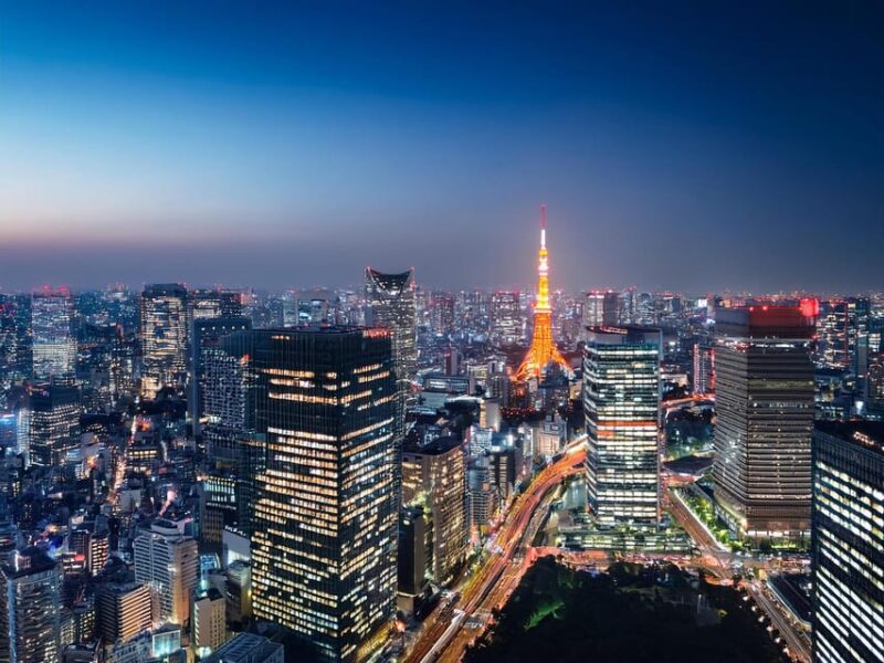 Tokyo: Customized Private Tour With a Local Guide - Important Information for Participants