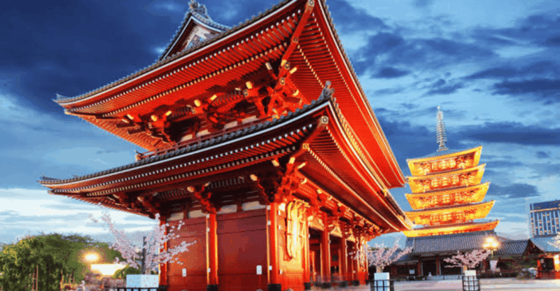 Tokyo: Customized Private Tour With Driver - Exploring Shibuyas Famous Scramble Crossing