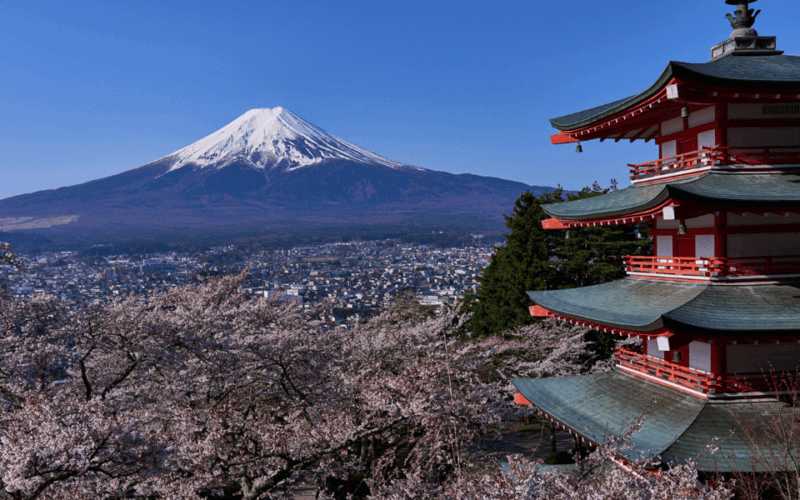 Tokyo Day Trip -Mount Fuji Private Tour From Tokyo - Key Points