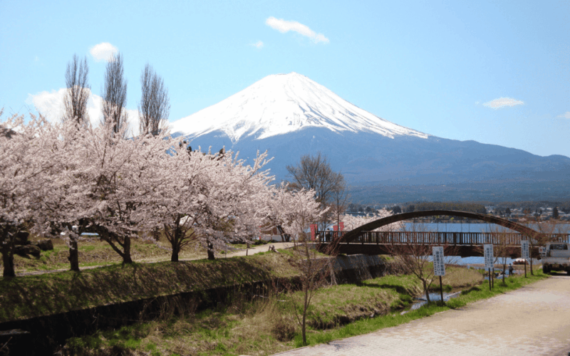 Tokyo Day Trip -Mount Fuji Private Tour From Tokyo - Itinerary Highlights