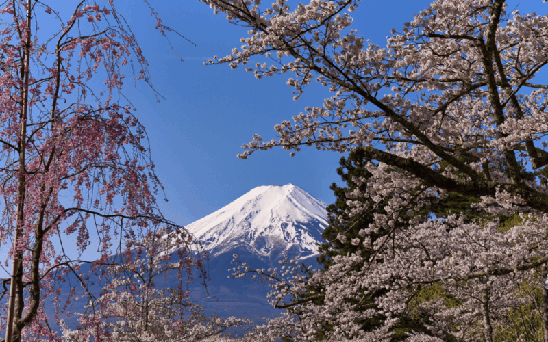 Tokyo Day Trip -Mount Fuji Private Tour From Tokyo - Chureito Pagoda