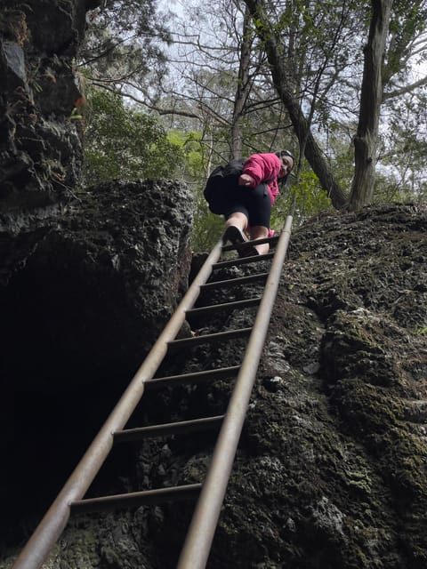 Tokyo Day Trip : Mountain Ridge Adventure - Itinerary Highlights