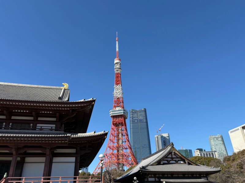 Tokyo Day Trip With Local Guide and Private Car - Key Points