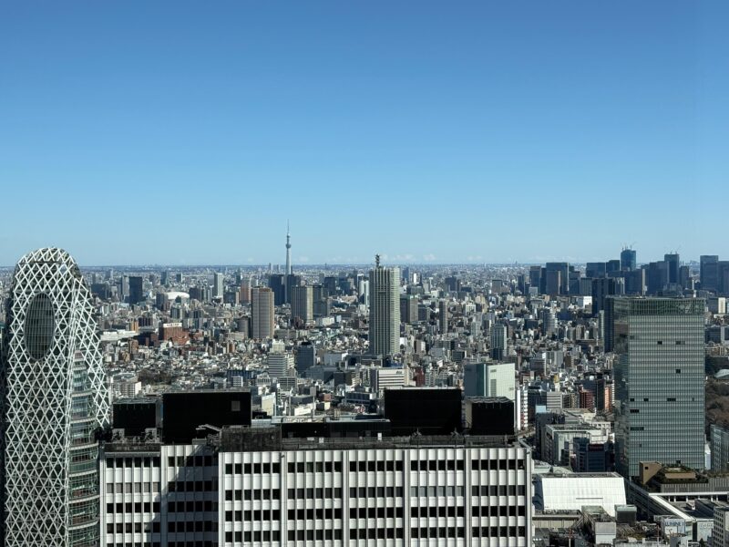 Tokyo Day Trip With Local Guide and Private Car - Tour Inclusions and Recommendations