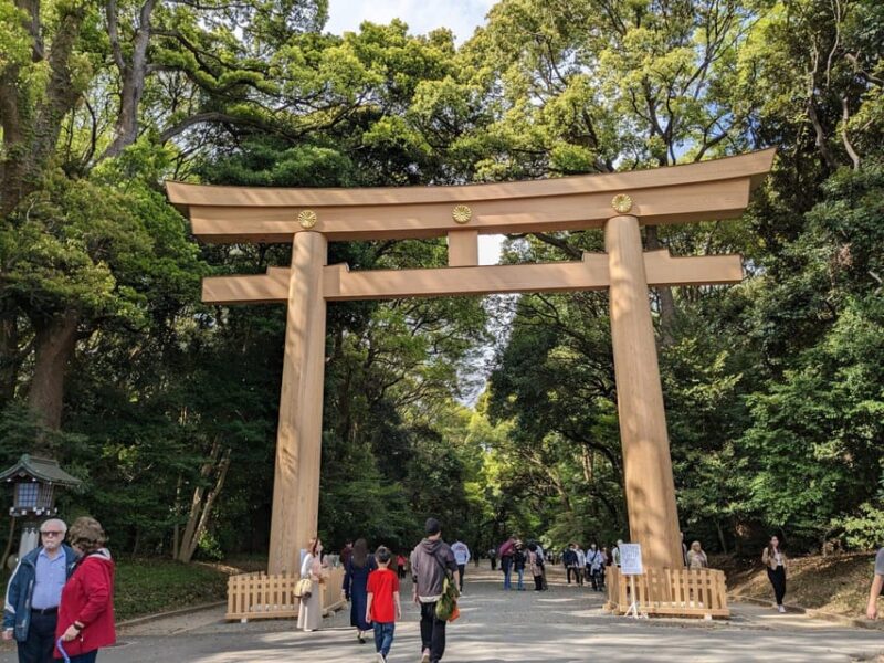 Tokyo Day Trip With Local Guide and Private Car - Customizing Your Tour