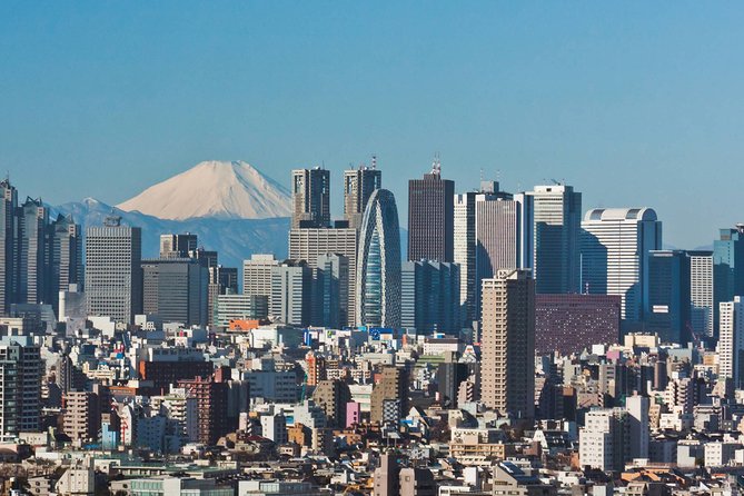 Tokyo Departure Private Transfers From Tokyo City to Tokyo-Narita Airport NRT - Accessibility and Participation