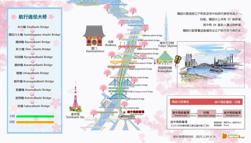 Tokyo: Dinner Cruise With Shamisen & Tokyo Tower Dance Show - Cultural Experience and Performances