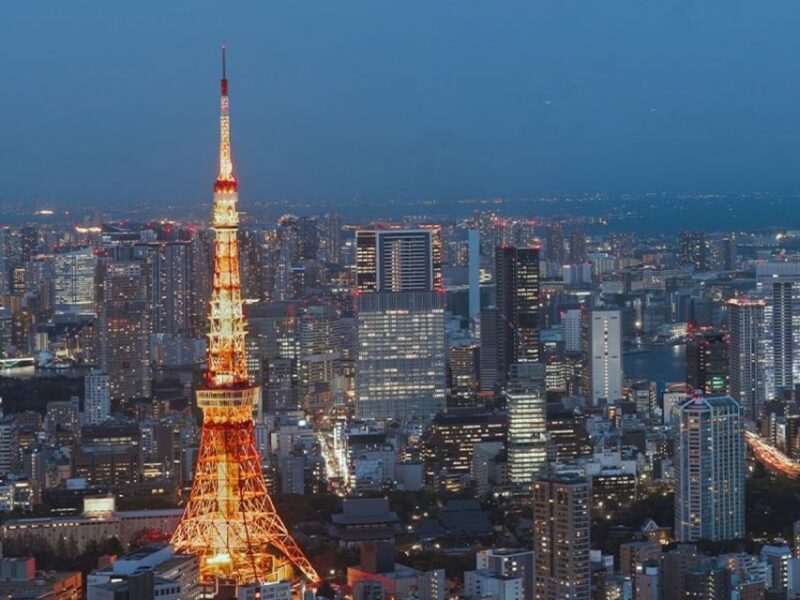 Tokyo: Dinner Cruise With Shamisen & Tokyo Tower Dance Show - Getting to the Departure Point
