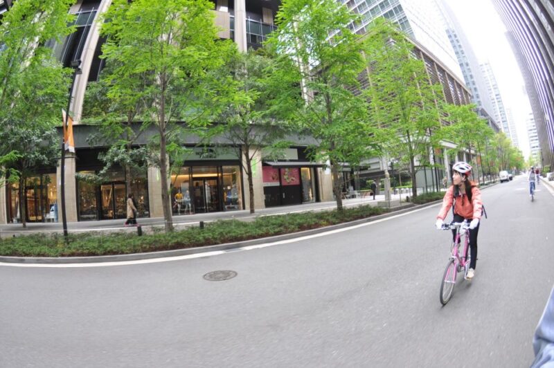 Tokyo: Discover Traditional Tokyo Full-Day Bicycle Tour - Customer Reviews