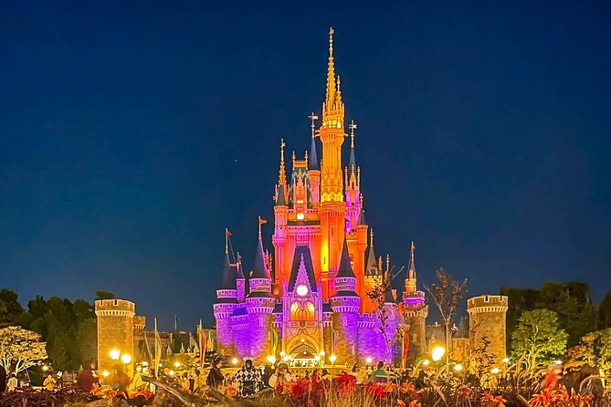 Tokyo Disney Resort Park E-Tickets With Optional Tokyo Metro Pass - Key Points