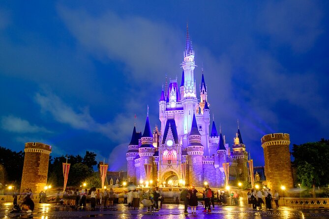 Tokyo Disney Resort Park E-Tickets With Optional Tokyo Metro Pass - Meeting and Departure Information