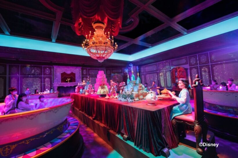 Tokyo Disneyland 1-Day Passport - Final Thoughts