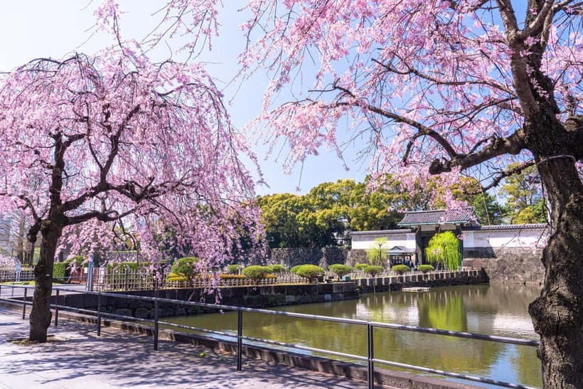 Tokyo: East Garden of the Imperial Palace with History Guide - Inside the Experience