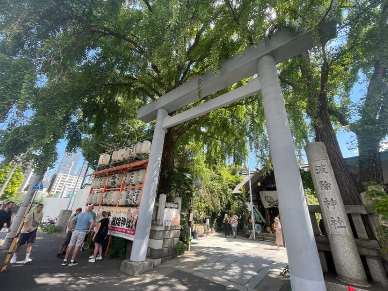 Tokyo: Enjoy Street Food and Food Culture at Tsukiji Market - Inclusions and Exclusions