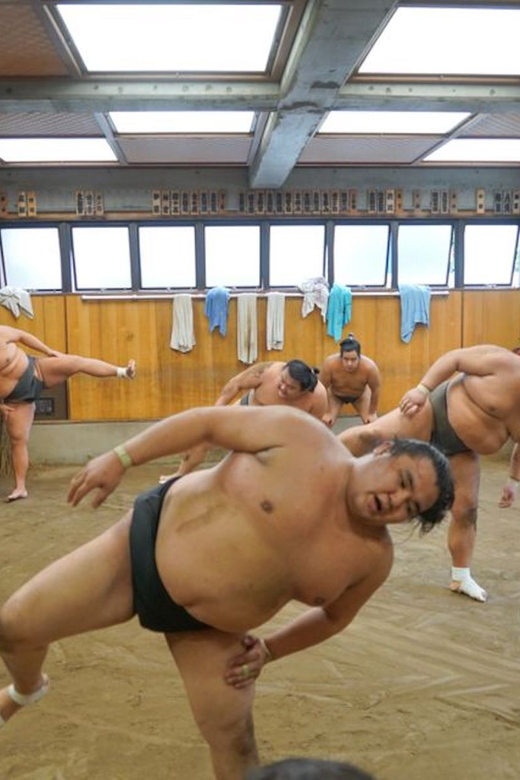 Tokyo: Exclusive Access to Sumo Morning Practice With Photos - Exclusive Access and Photographic Opportunities