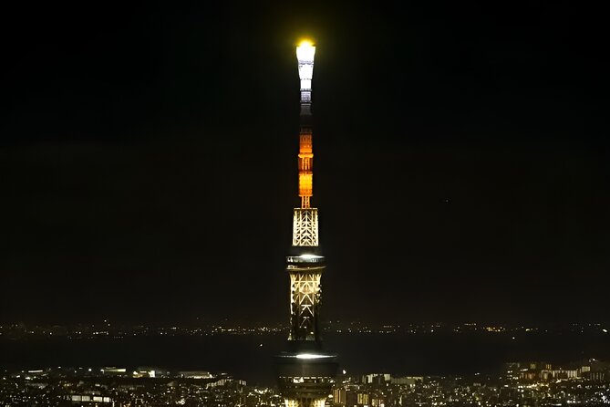 Tokyo: Exclusive City Highlights Tour With Eng Speaking Driver - Participant Information