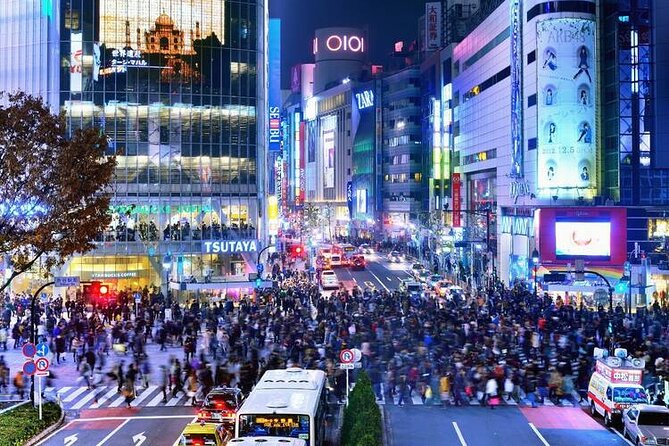 Tokyo: Exclusive City Highlights Tour With Eng Speaking Driver - Customizing Your Itinerary